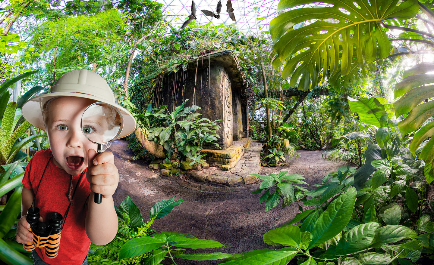 Randers Regnskov - Tropical Zoo: regnskoven.dk