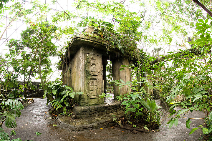 Pressefotos: Randers Regnskov - Tropical Zoo