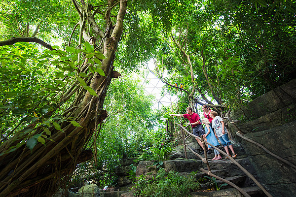 Guided tours: Randers Regnskov - Tropical Zoo
