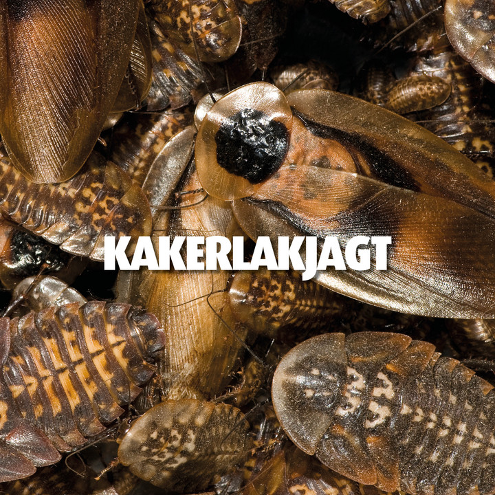 TropeCamp: Randers Regnskov - Tropical Zoo