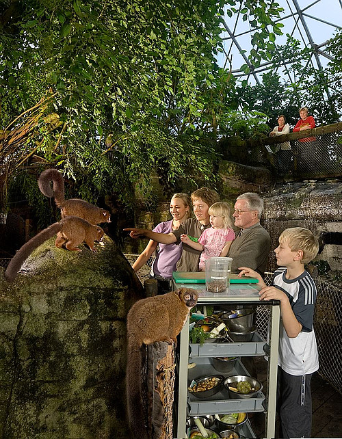 Spændende oplevelser i vinterferien: Randers Regnskov - Tropical Zoo