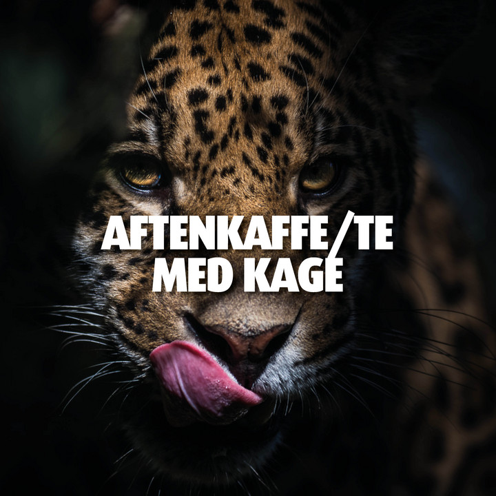 TropeCamp: Randers Regnskov - Tropical Zoo