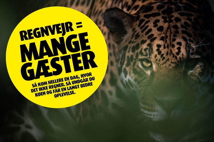 Randers Regnskov - Tropical Zoo: regnskoven.dk