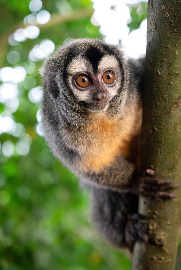 Priser og Åbningstider: Randers Regnskov - Tropical Zoo
