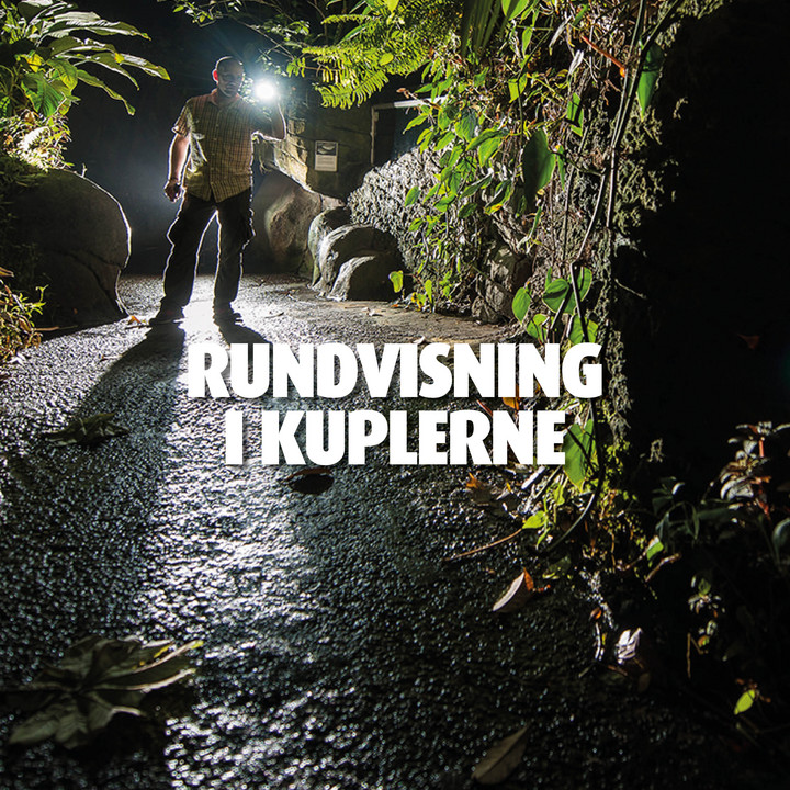 TropeCamp: Randers Regnskov - Tropical Zoo