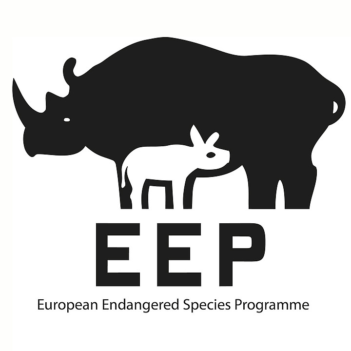 Randers Regnskov - Tropical Zoo: regnskoven.dk