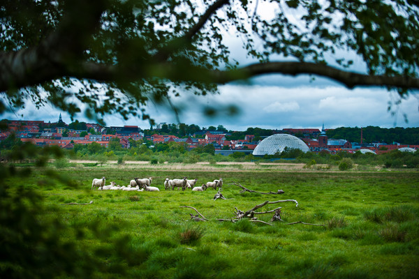Links: Randers Regnskov - Tropical Zoo