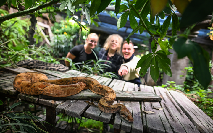 Priser og Åbningstider: Randers Regnskov - Tropical Zoo