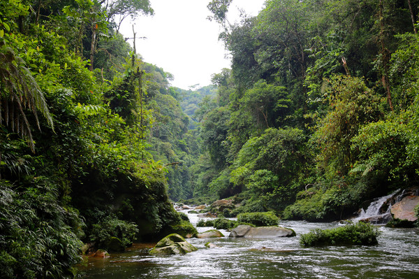 Links: Randers Regnskov - Tropical Zoo
