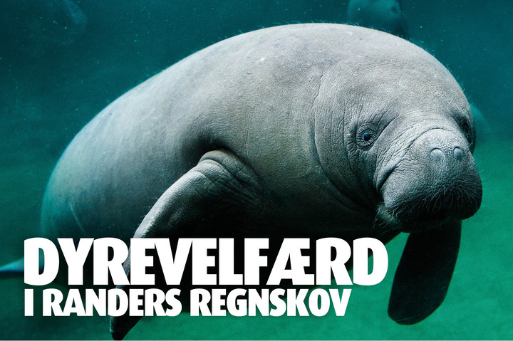 Randers Regnskov - Tropical Zoo: regnskoven.dk