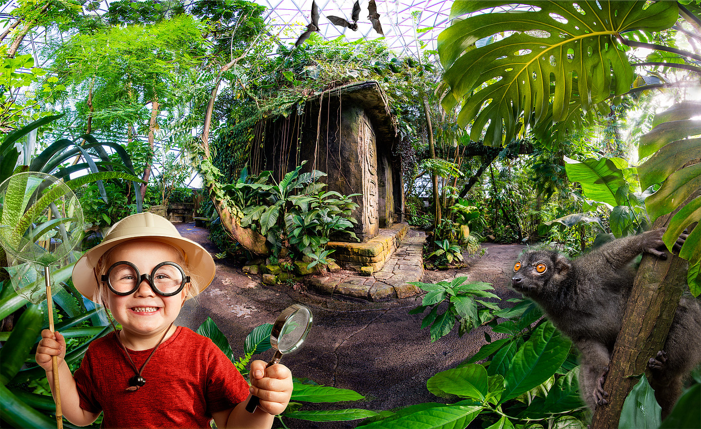 Randers Regnskov - Tropical Zoo: regnskoven.dk