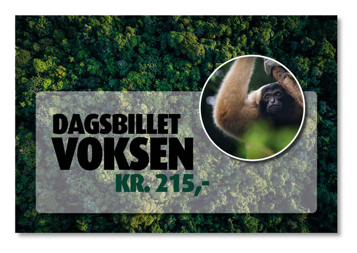 Priser og Åbningstider: Randers Regnskov - Tropical Zoo