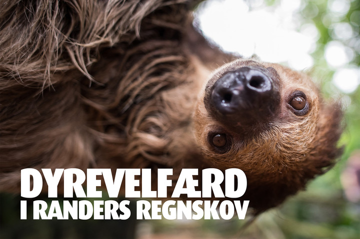 Randers Regnskov - Tropical Zoo: regnskoven.dk