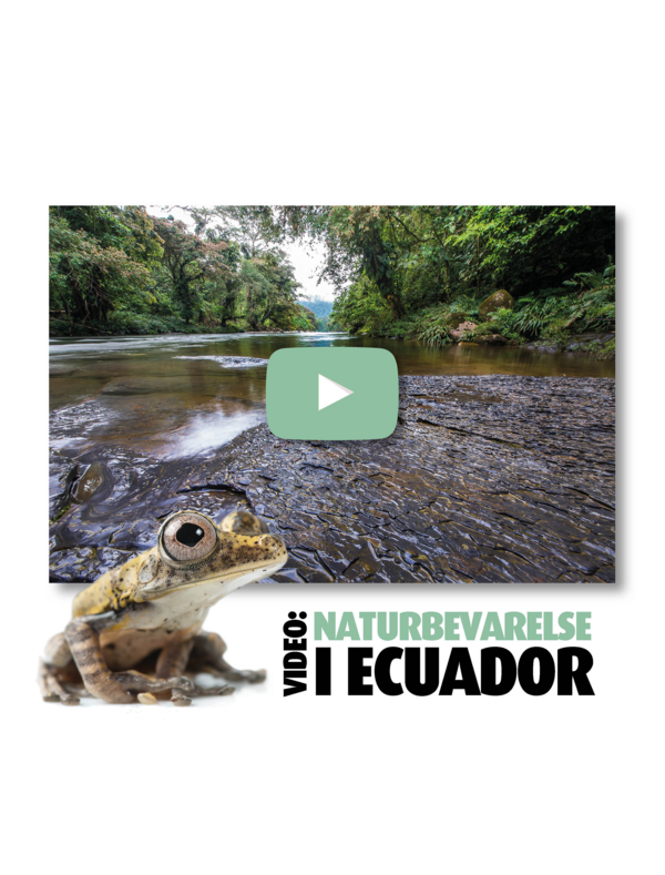 Earthkeeper: Randers Regnskov - Tropical Zoo