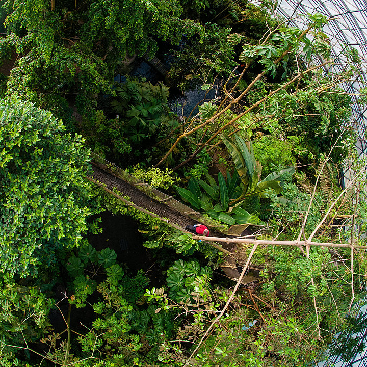 Randers Regnskov - Tropical Zoo: regnskoven.dk