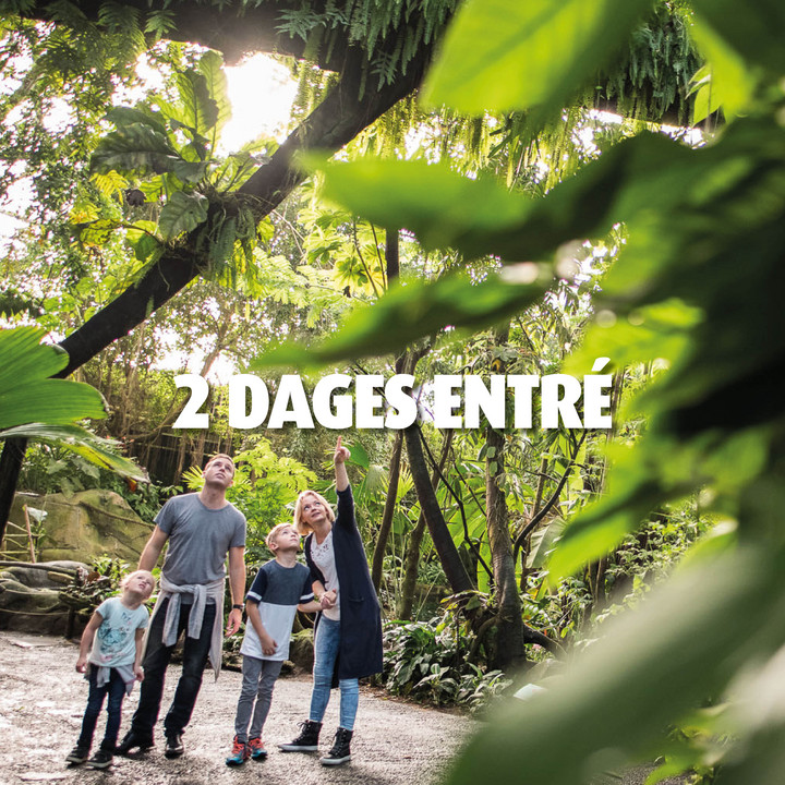 TropeCamp: Randers Regnskov - Tropical Zoo