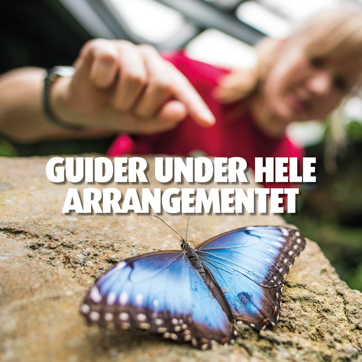 TropeCamp: Randers Regnskov - Tropical Zoo