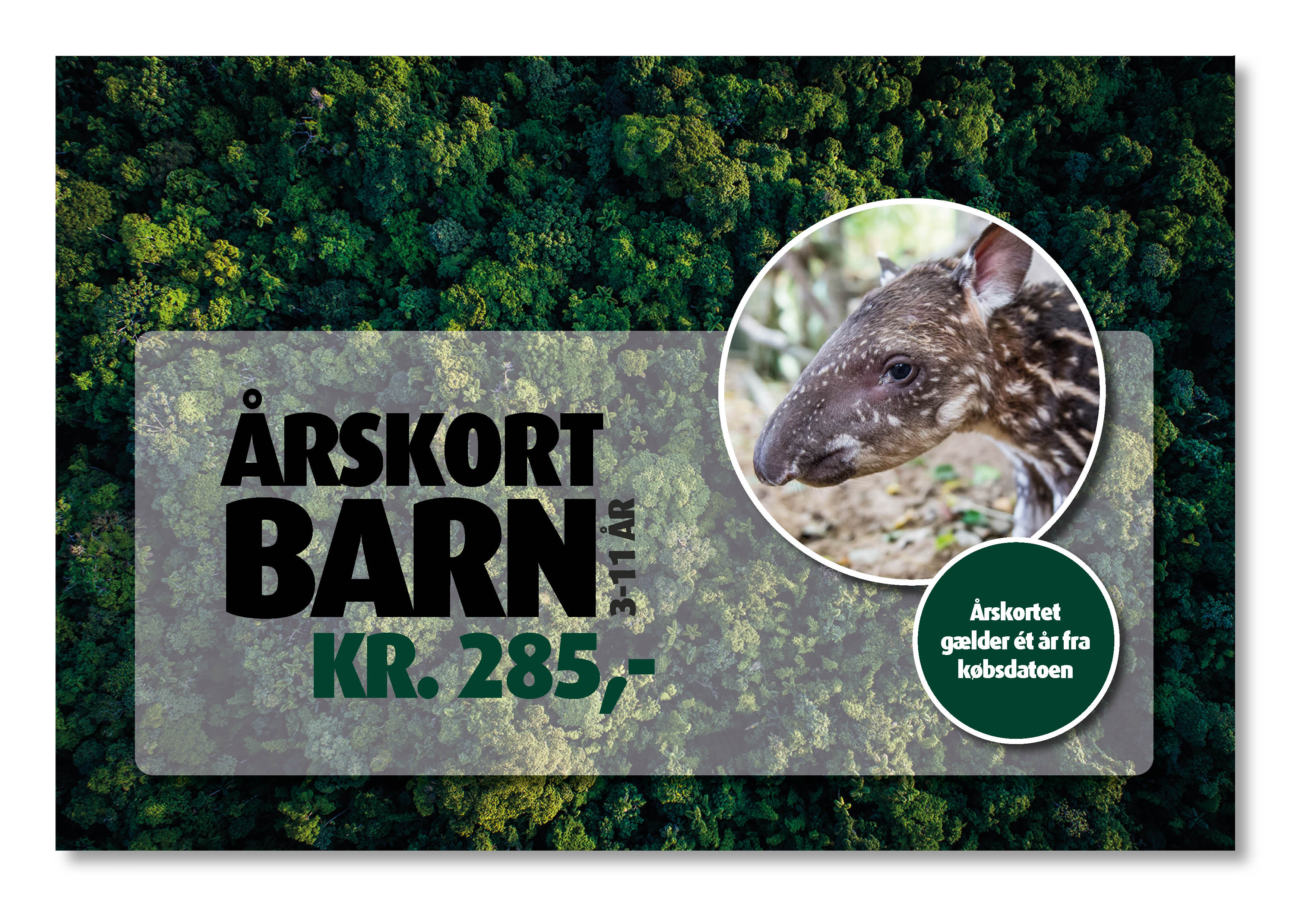 Priser og Åbningstider: Randers Regnskov - Tropical Zoo