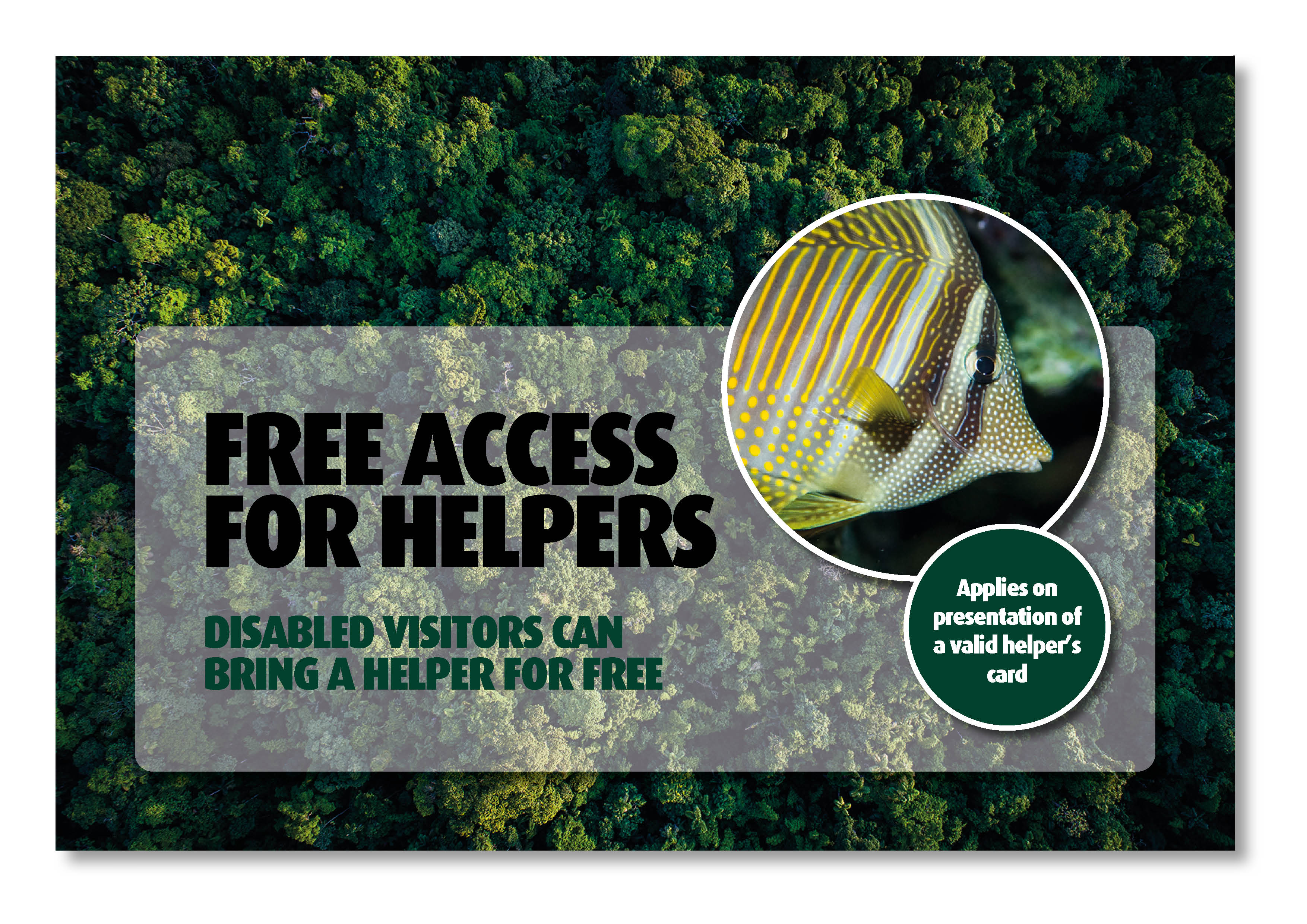 Prices and Opening hours: Randers Regnskov - Tropical Zoo