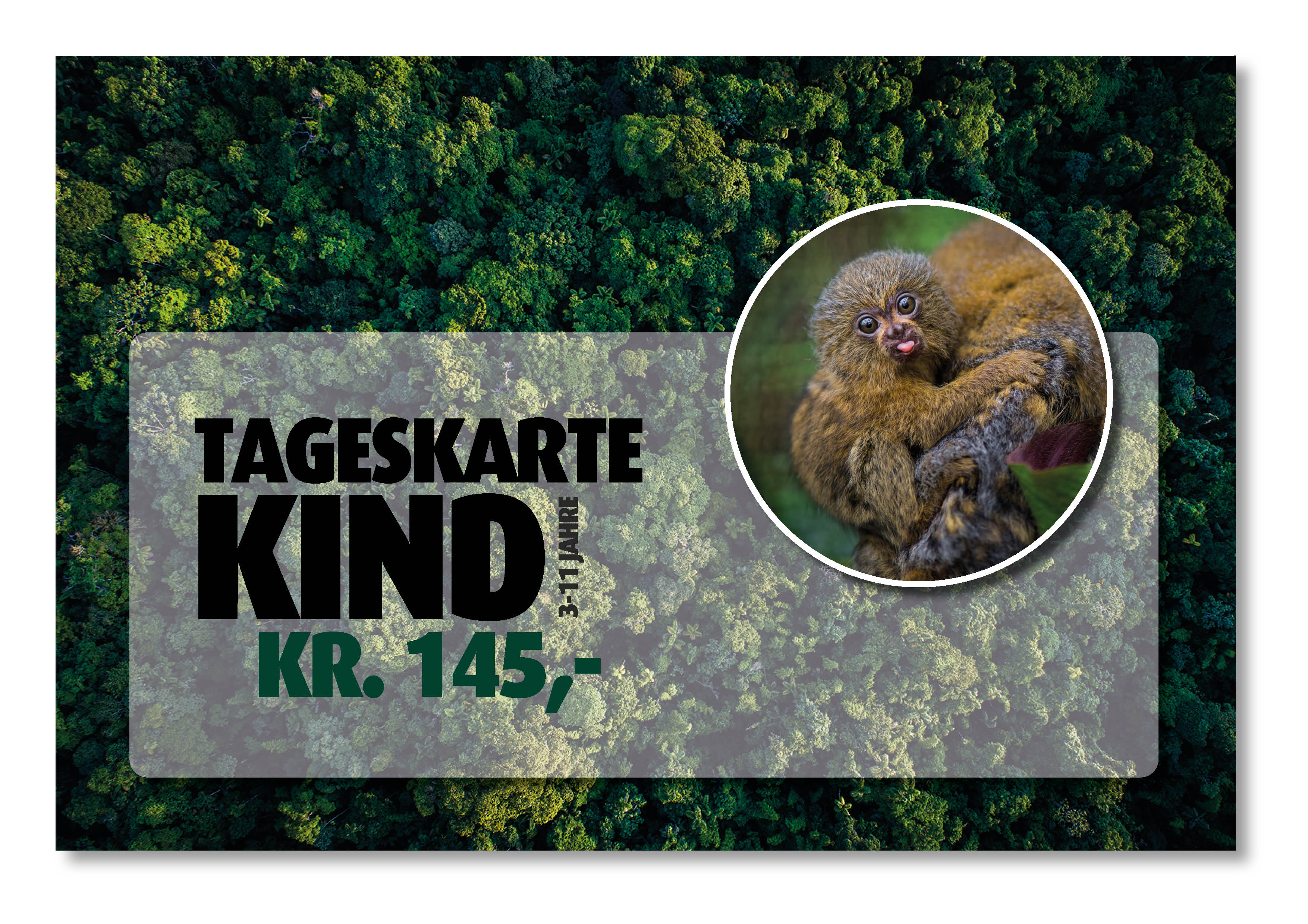 Preise und Öffnungszeiten: Randers Regnskov - Tropical Zoo