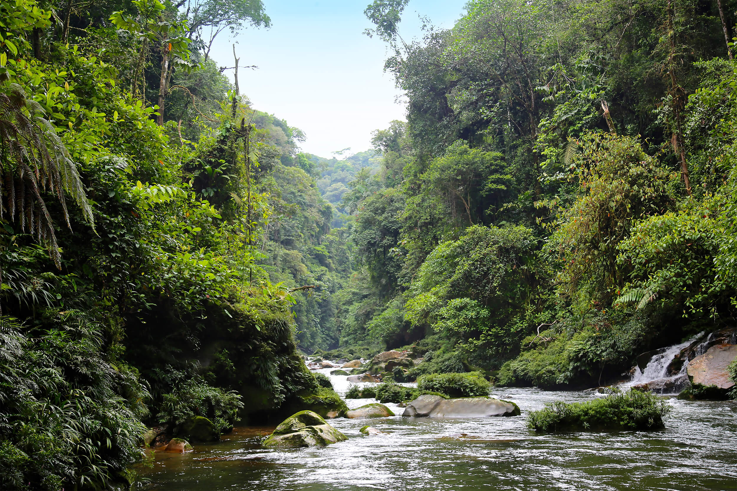 Den tropiske regnskov: Randers Regnskov - Tropical Zoo